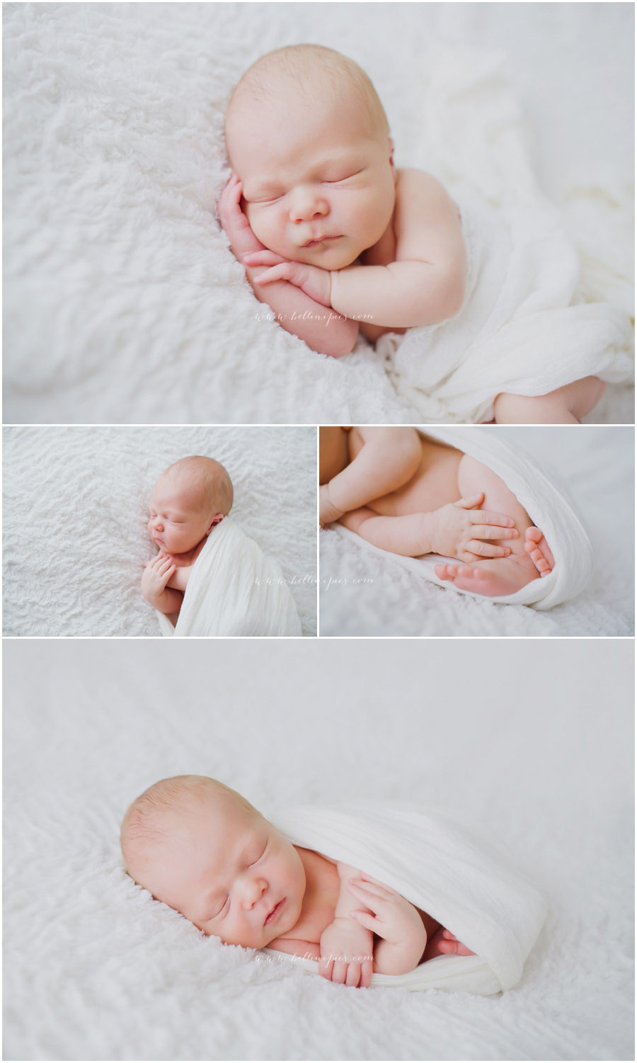 introducing cooper : boston newborn photographer - Bellini Portraits MA